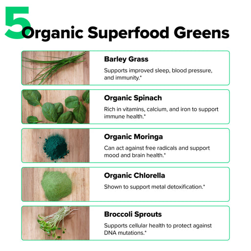 Daily Greens by Complement - Organic Greens Superfood Powder