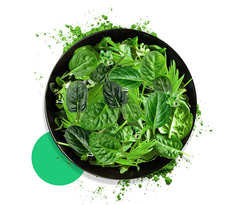 Daily Greens by Complement - Organic Greens Superfood Powder